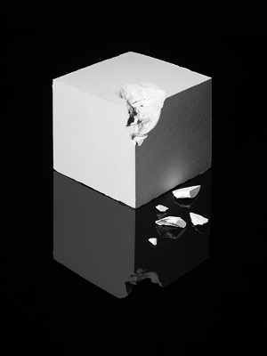 will Bunce : Photographer